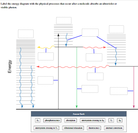 Solved Label the energy diagram with the physical processes | Chegg.com