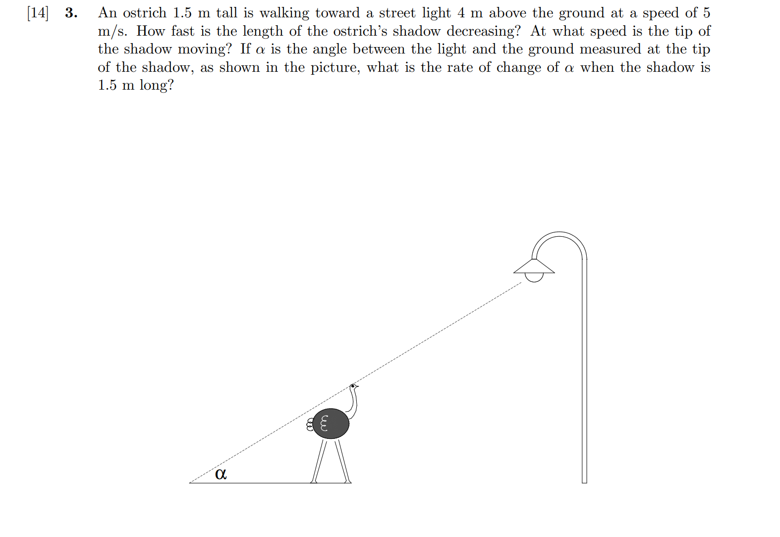 Solved [14] 3. ﻿An ostrich 1.5 ﻿m tall is walking toward a | Chegg.com
