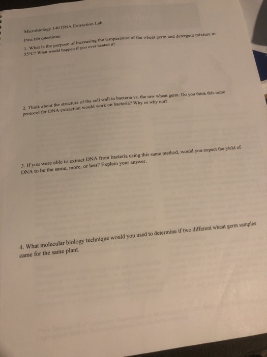 Solved 40 DNA Extraction Lab Microbiology 1 Post lab | Chegg.com