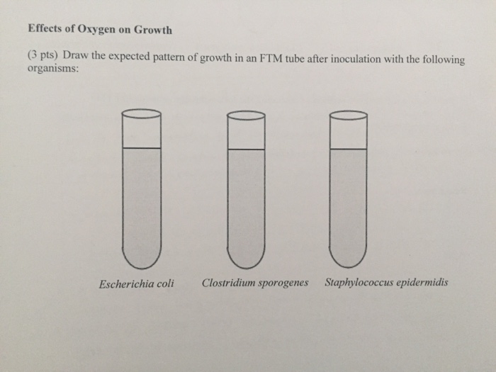 Solved Based On Their Oxygen Requirement, Bacteria Can Be, 52% OFF