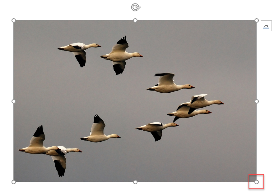 Solved What is the highlighted area shown in the image used | Chegg.com