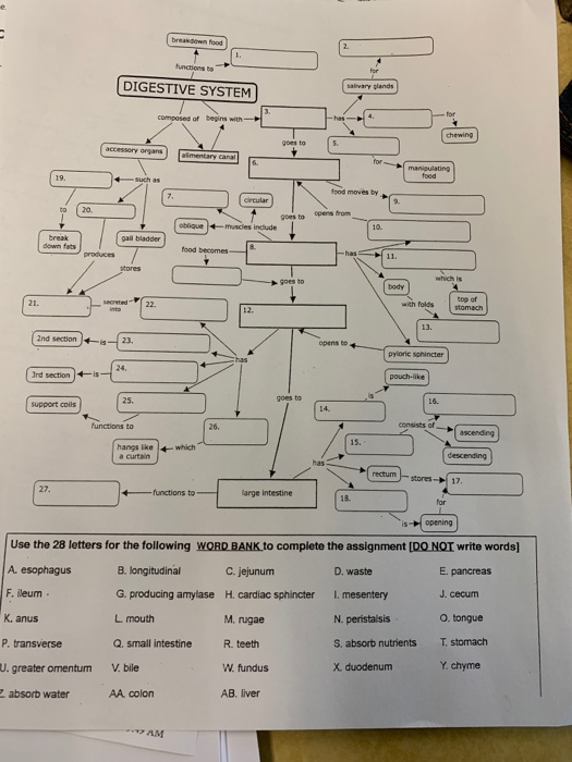 Digestive System Concept Map