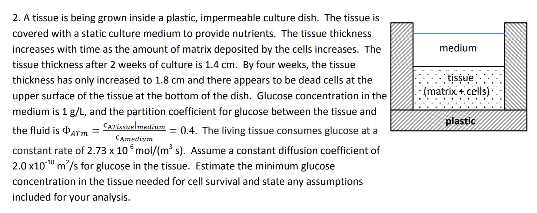 medium tissue (matrix + cells) 2. A tissue is being | Chegg.com