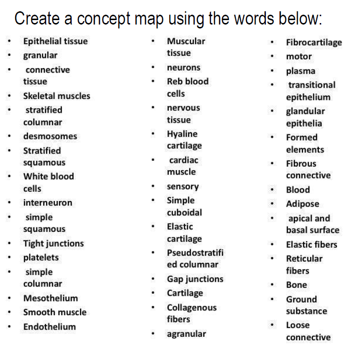 Solved Create a concept map about the basic animal cell | Chegg.com