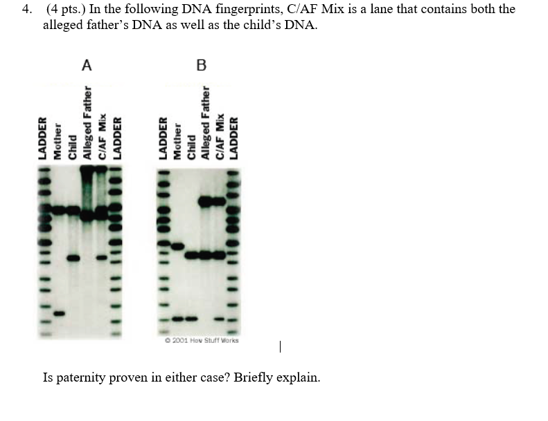 Solved 4. (4 ﻿pts.) ﻿In the following DNA fingerprints, | Chegg.com