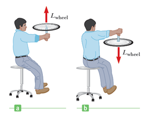 Solved A student holds a spinning bicycle wheel while | Chegg.com