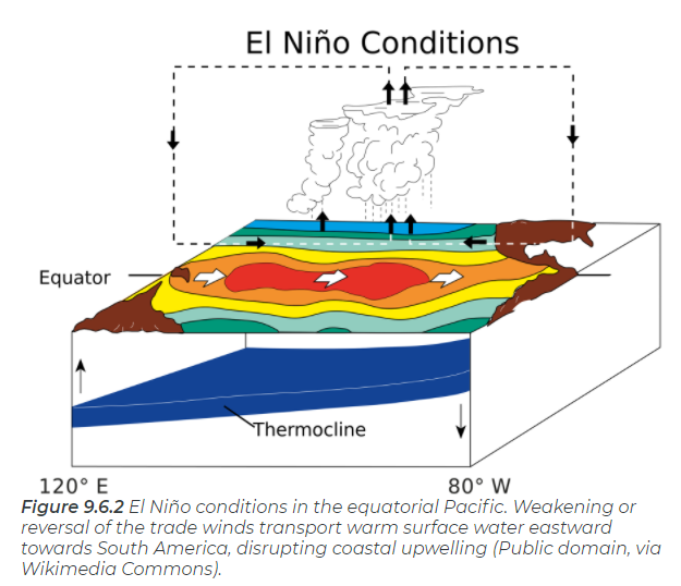 Solved Construct three sketches of cross-sections of | Chegg.com