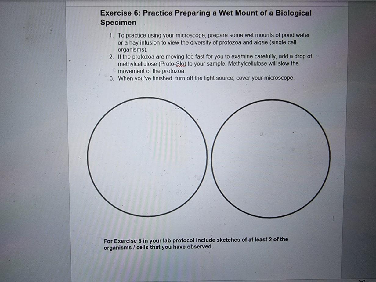 Solved Exercise 6: Practice Preparing a Wet Mount of a | Chegg.com