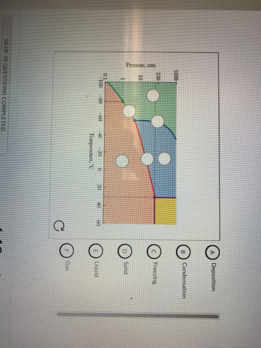 Solved Place the correct labels on he appropriate area of | Chegg.com