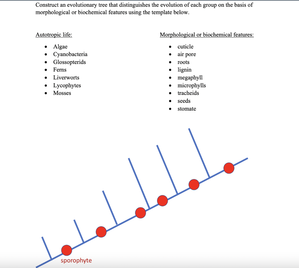 Solved Construct an evolutionary tree that distinguishes the | Chegg.com