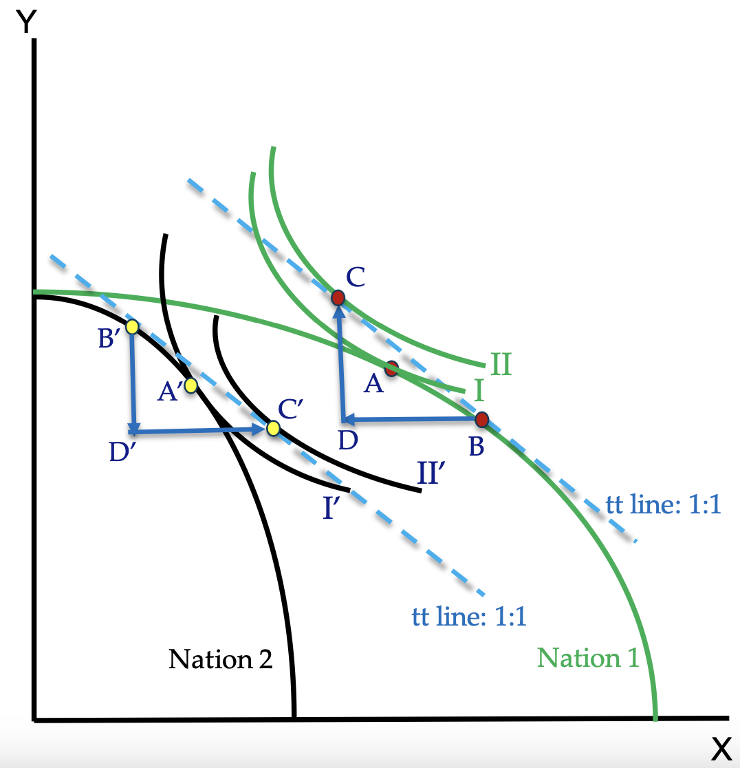 Solved Where do you label the initial, specialisation, and | Chegg.com