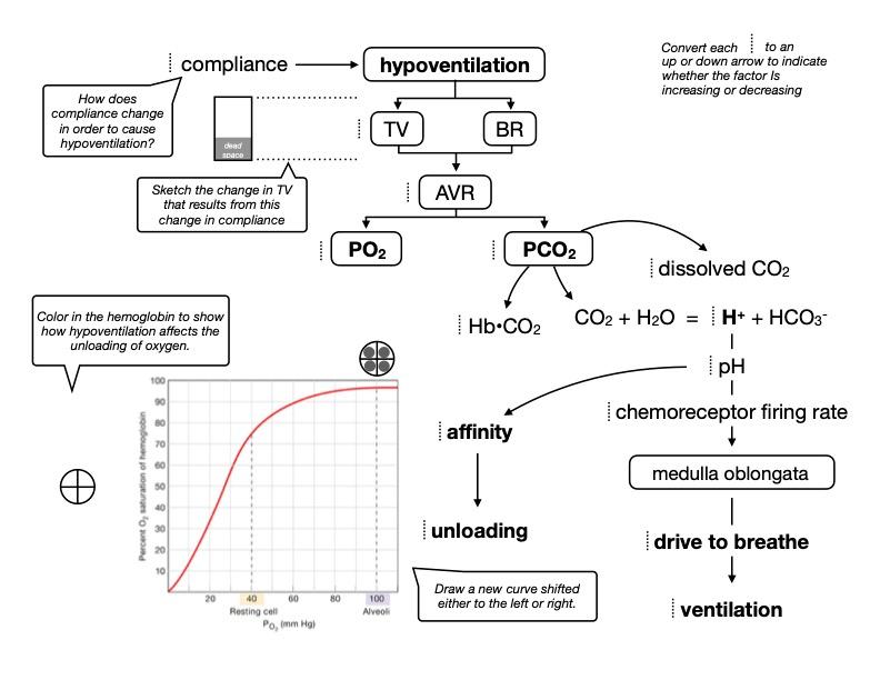 Solved compliance hypoventilation Convert each to an up or | Chegg.com