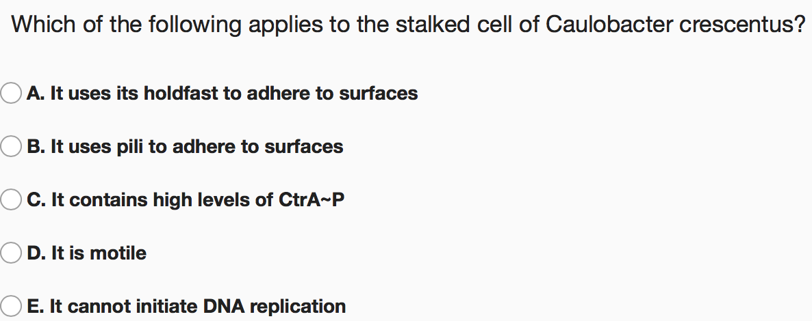 Solved Which of the following applies to the stalked cell of | Chegg.com