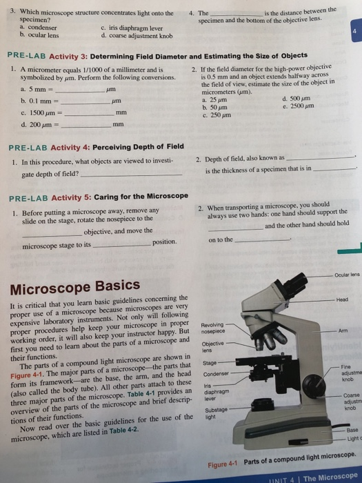 What Part Of The Microscope Delivers A Concentrated Beam Light To Specimen - The Best Picture Of ...