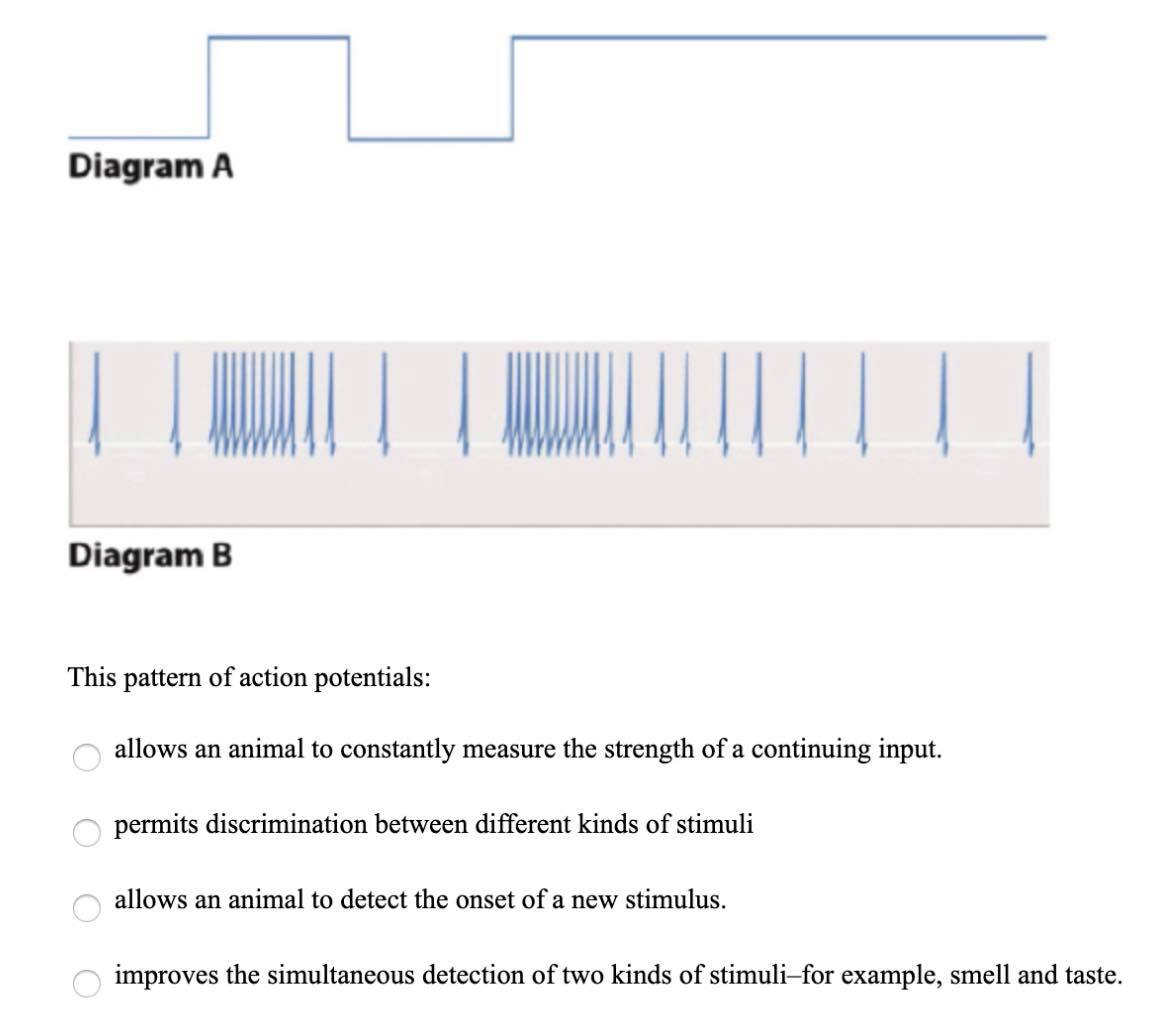 Solved Diagram A Diagram B This pattern of action | Chegg.com