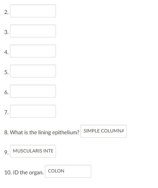 Solved 6 5 3 2 7 8 9 IDENTIFY THE POINTED/NUMBERED | Chegg.com