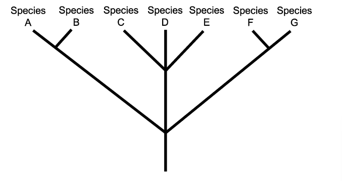 Solved Hand drawn solutions pleaseA)Without redrawing the | Chegg.com