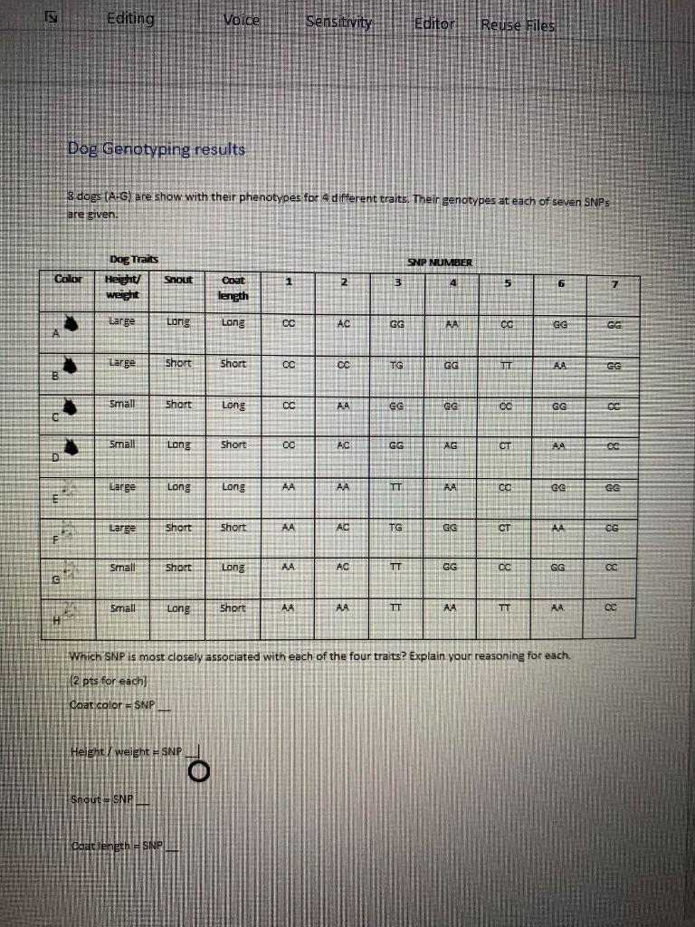 Solved Dog Genotyping results 8 dogs (A-G) are show with | Chegg.com