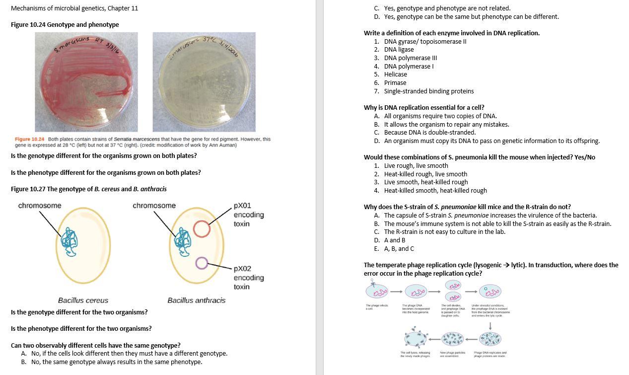 Solved Mechanisms of microbial genetics, Chapter 11 Figure | Chegg.com
