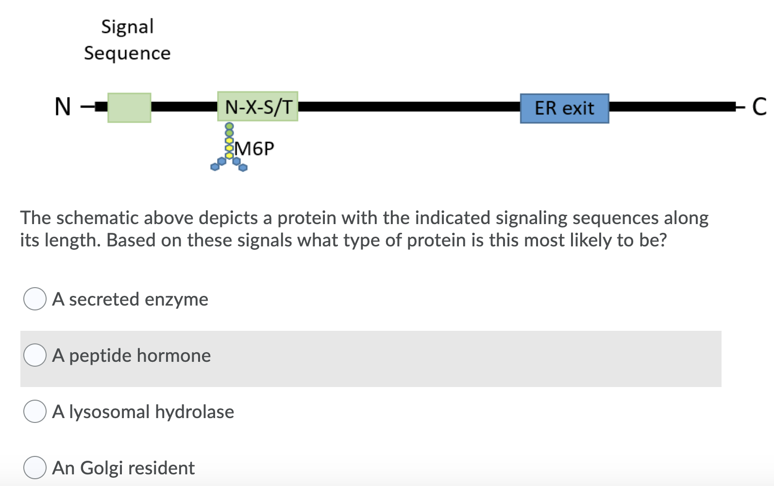 Solved Signal Sequence N N-X-S/T ER exit -C EM6P The | Chegg.com