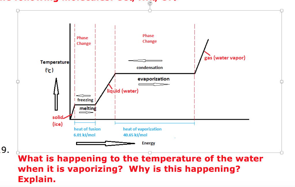 Solved Phase I Change Phase Change gas (water vapor) | Chegg.com