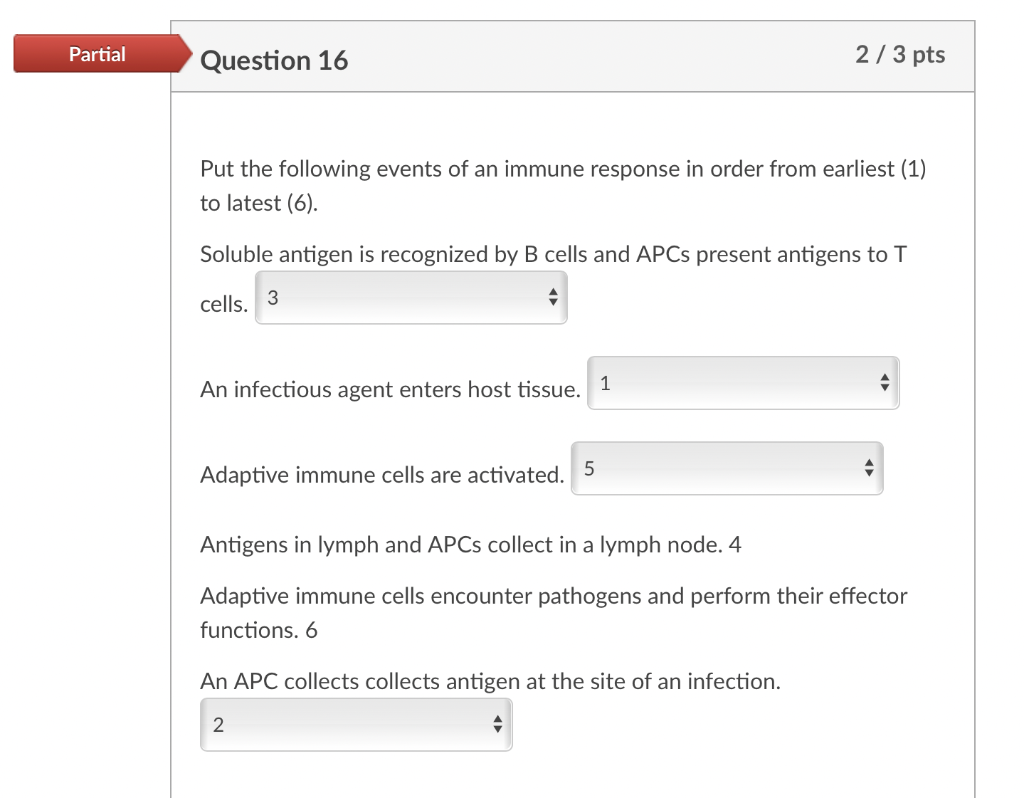 Solved Put the following events of an immune response in | Chegg.com