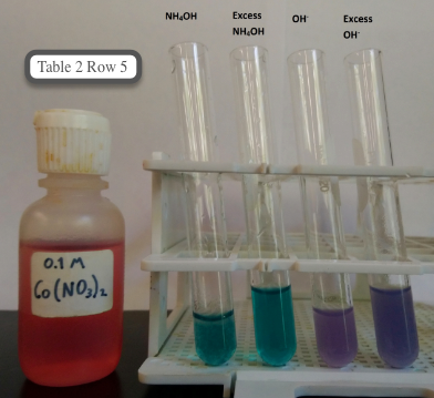 Solved Pb(NO3)2 Cu(NO3)2 Fe(NO3)3 Co(NO3)2 Zn(NO3)2 | Chegg.com