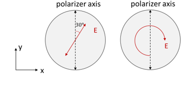 Solved When an electric field polarizes along the axis of an | Chegg.com