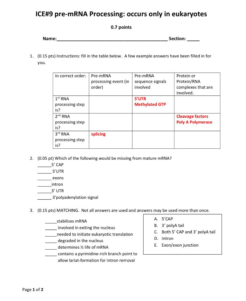 Solved ICE\#9 pre-mRNA Processing: occurs only in eukaryotes | Chegg.com