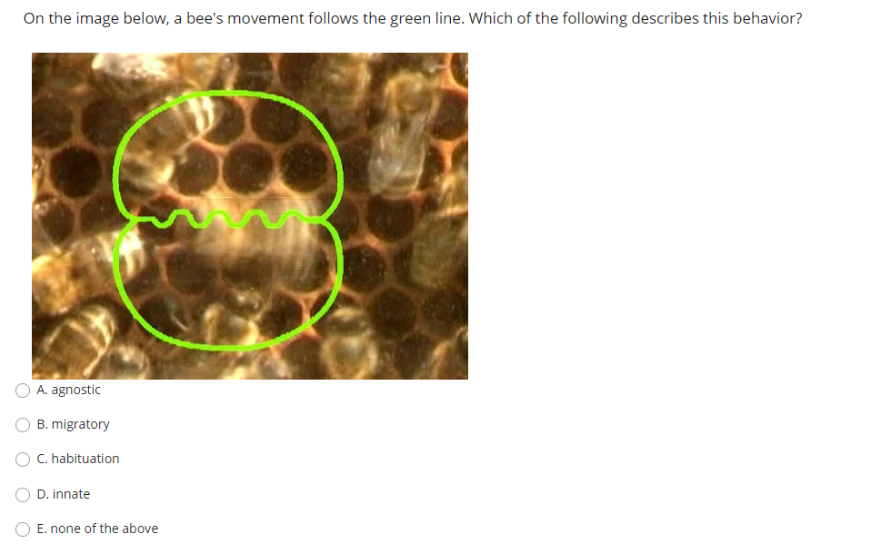 Solved On the image below, a bee's movement follows the | Chegg.com