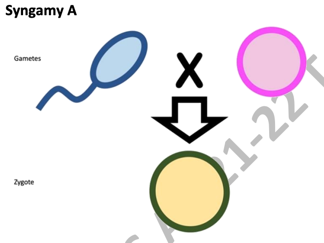 Solved Please explain the answers Indicate the symbols of | Chegg.com
