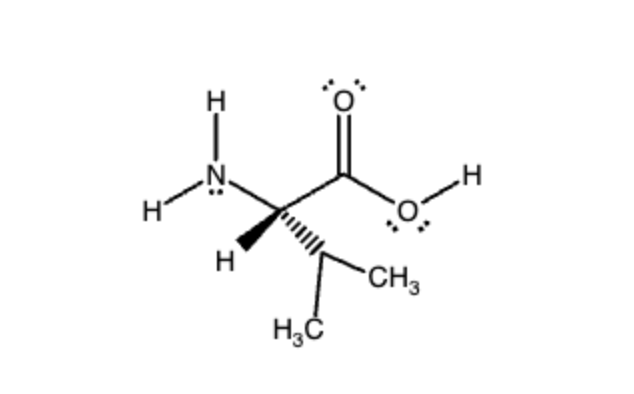 Solved Valine is an essential amino acid, which means that | Chegg.com