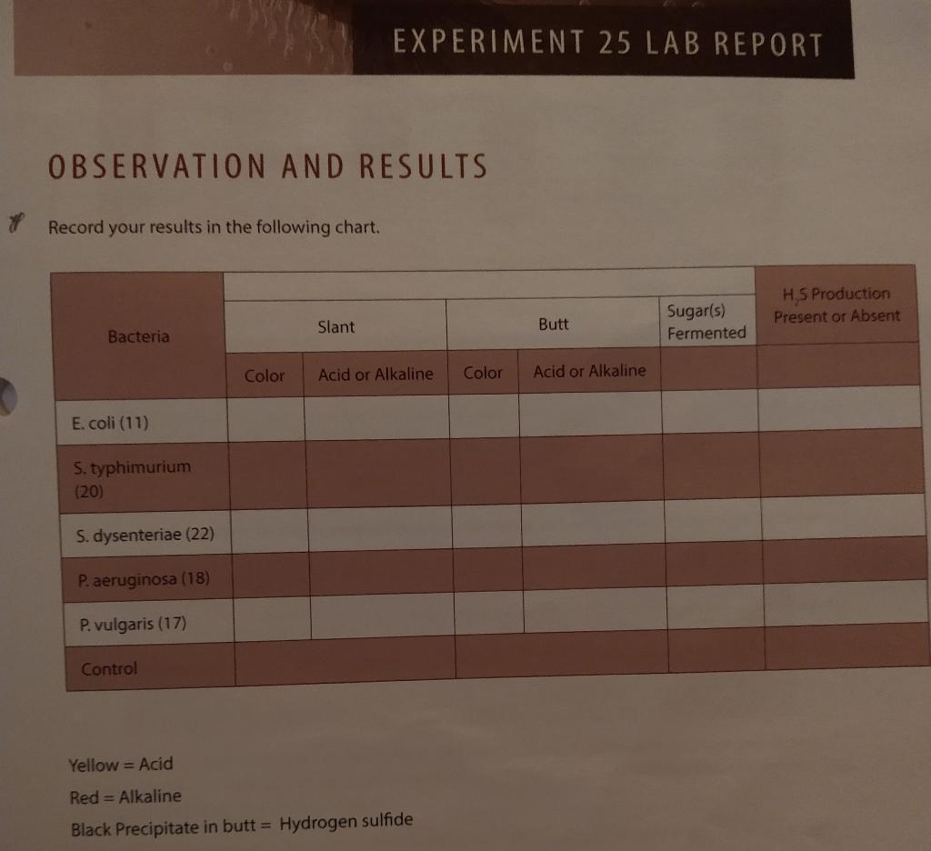 Solved EXPERIMENT 25 LAB REPORT OBSERVATION AND RESULTS | Chegg.com