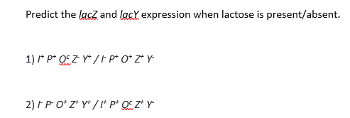Solved Predict the lacZ and lac} expression when lactose is | Chegg.com