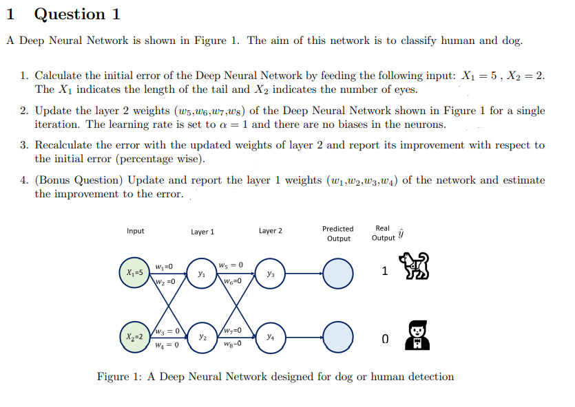 Solved A Deep Neural Network is shown in Figure 1. The aim | Chegg.com