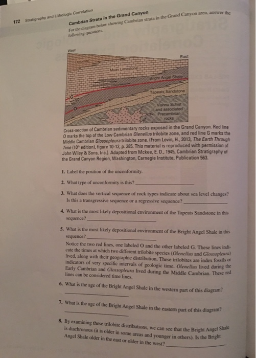 Solved EXERCISES Stratigraphy and Lithologic Correlation | Chegg.com