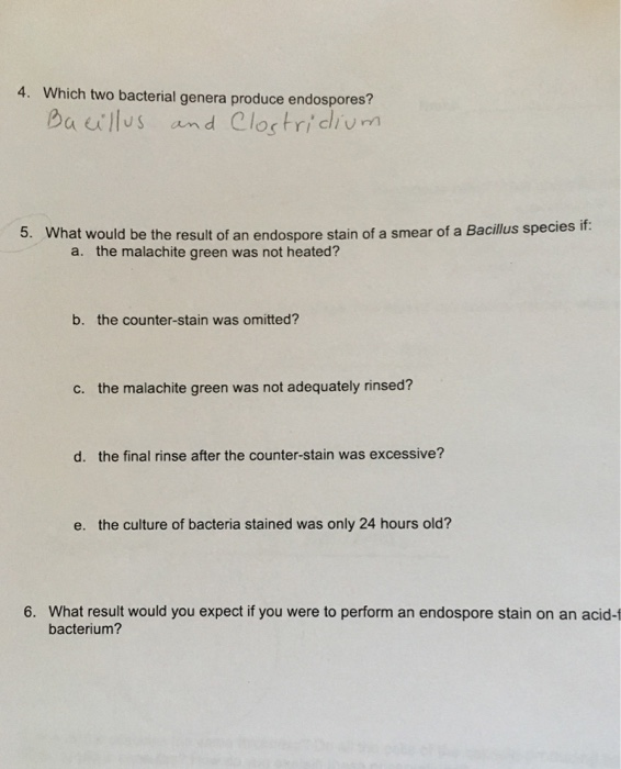 Solved 4. Which two bacterial genera produce endospores? | Chegg.com