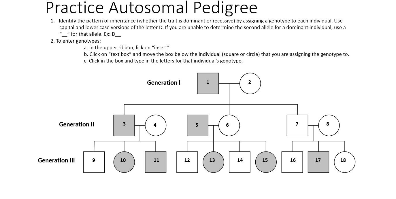 Solved Practice Autosomal Pedigree 11 1. Identify the | Chegg.com