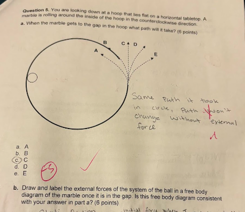 Solved Question 5. You are looking down at a hoop that lies | Chegg.com