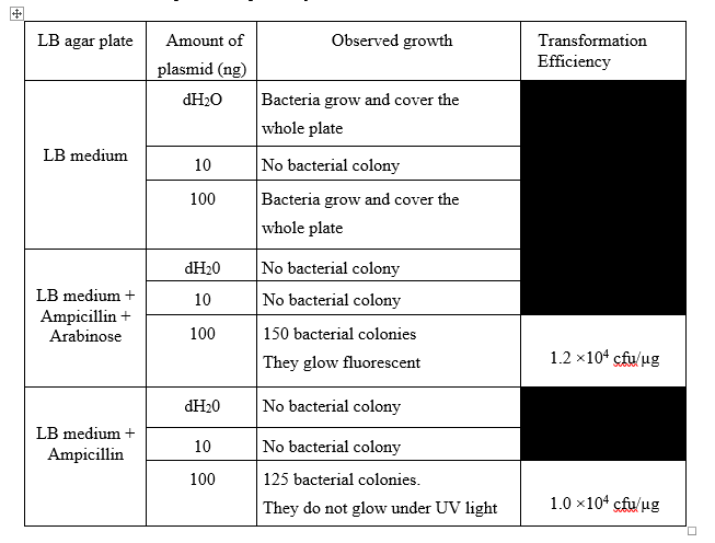 Solved E. coli DH5α competent cells were prepared | Chegg.com