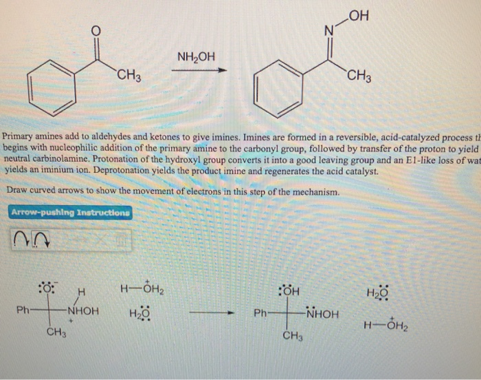 Solved CH3 CH2 Secondary amines add to aldehydes and ketones | Chegg.com