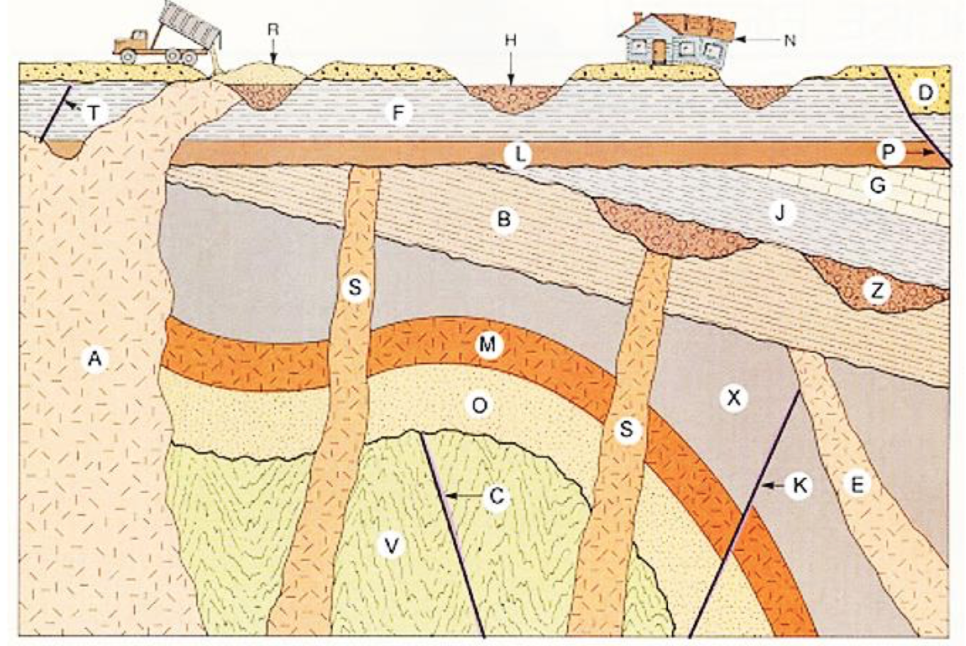 Solved Relative Dating Using the letters on the following | Chegg.com