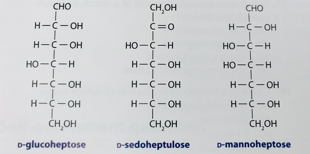 Solved Identify the chiral carbons and the asymmetric center | Chegg.com