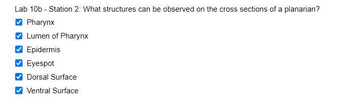 Solved Lab 10b - Station 2: Which structures can be found on | Chegg.com