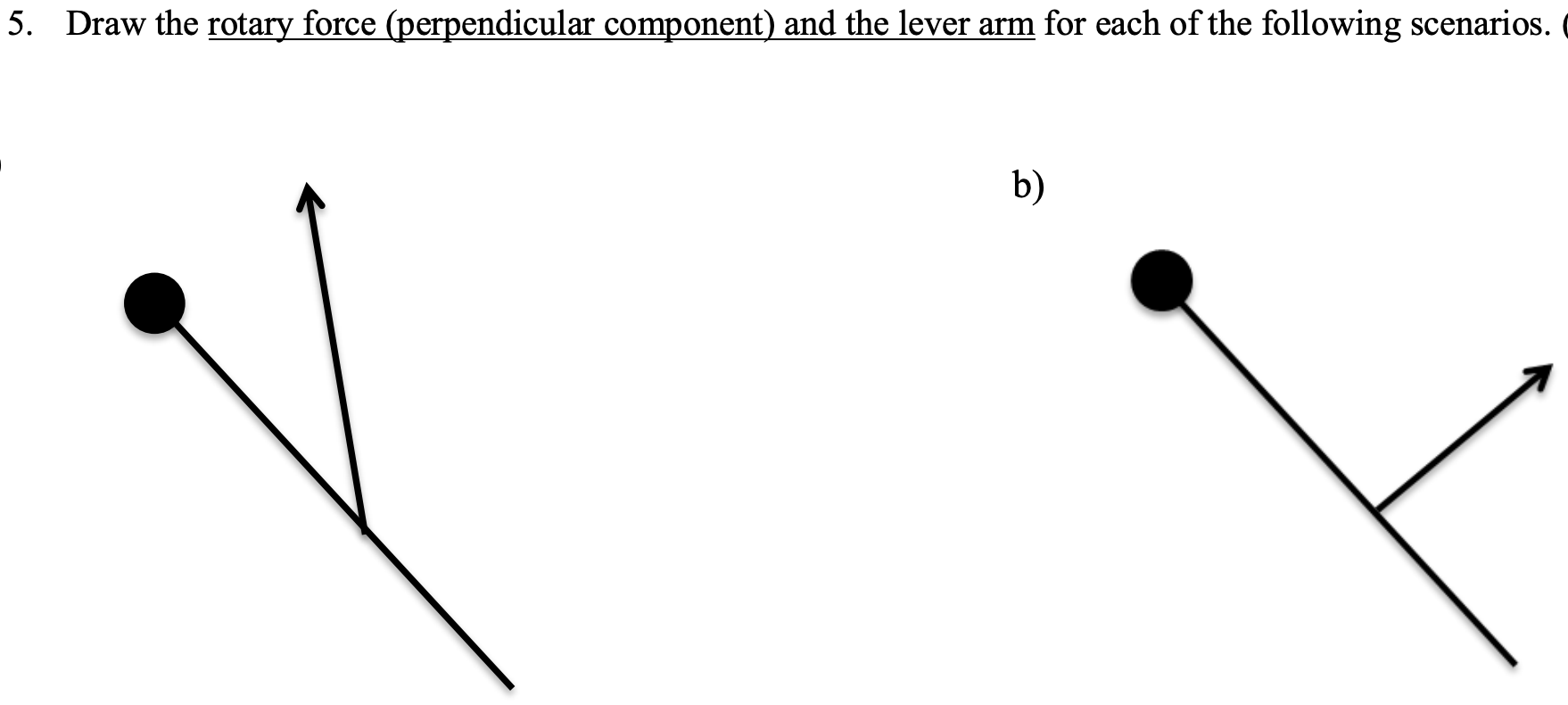 Solved 5. Draw the rotary force (perpendicular component) | Chegg.com