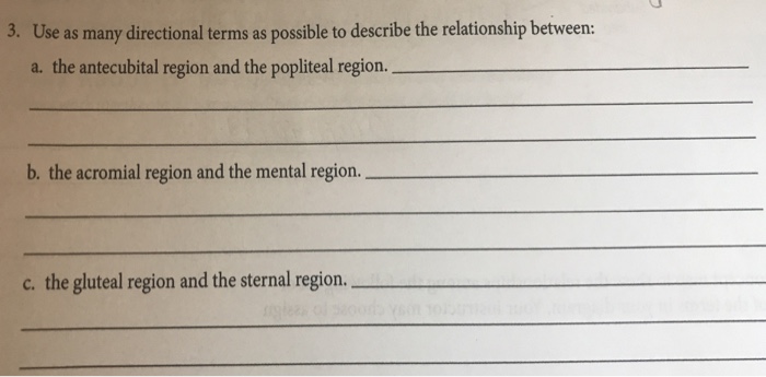 Solved Use As Many Directional Terms As Possible To Describe Chegg