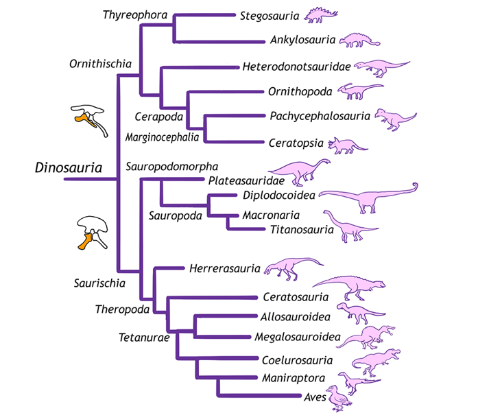 Solved mark the following terms in the image given below | Chegg.com