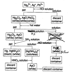 Solved Use the flowchart below A student takes an unknown | Chegg.com