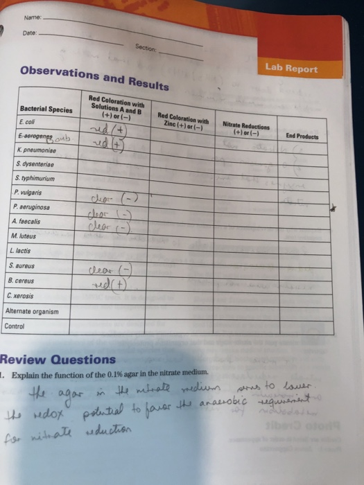 Solved Name: Date Lab Report Observations and Results | Chegg.com Solved Name: Date Lab Report Observations and Results | Chegg.com