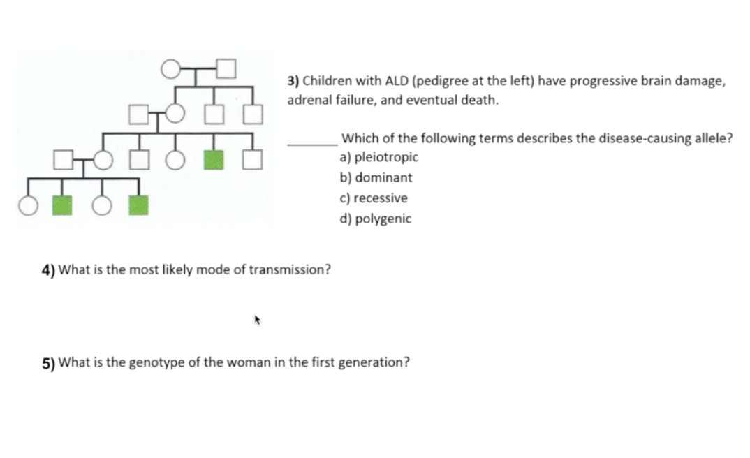 Solved 3) Children with ALD (pedigree at the left) have | Chegg.com